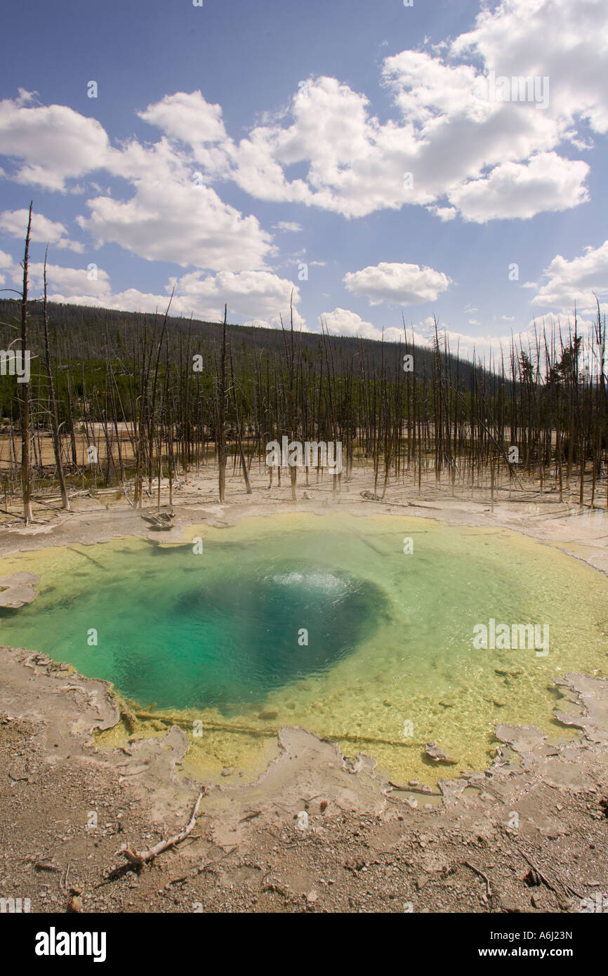 Cistern spring in yellowstone hi-res stock photography and images - Alamy