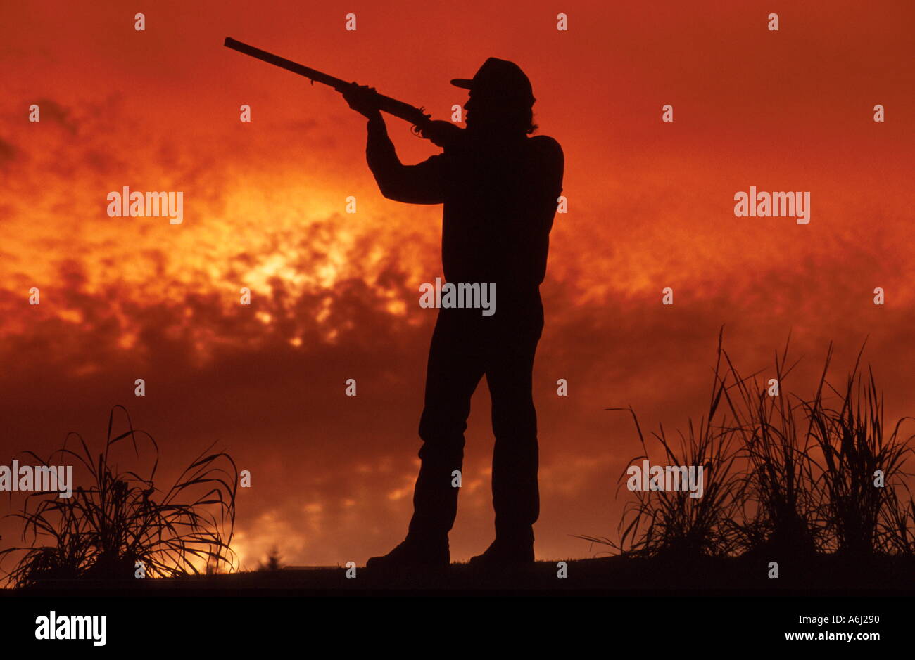 Firing shooting gun hi-res stock photography and images - Alamy