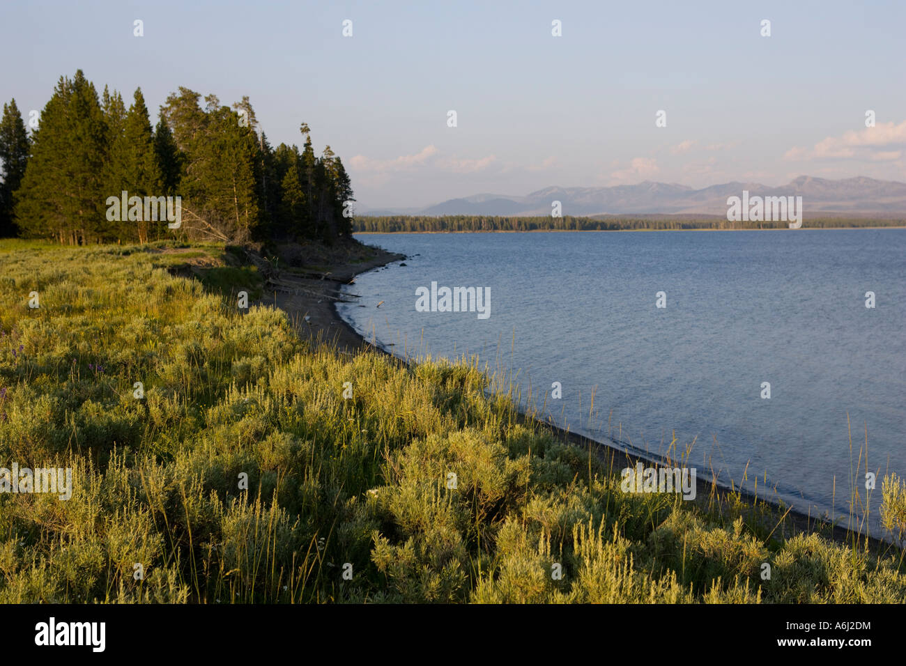 WYOMING USA Yellowstone Lake in Yellowstone National Park established ...