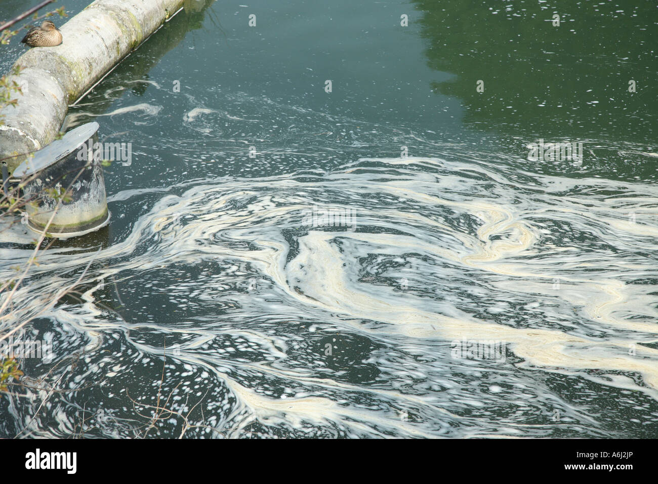 pollution in a river Stock Photo - Alamy