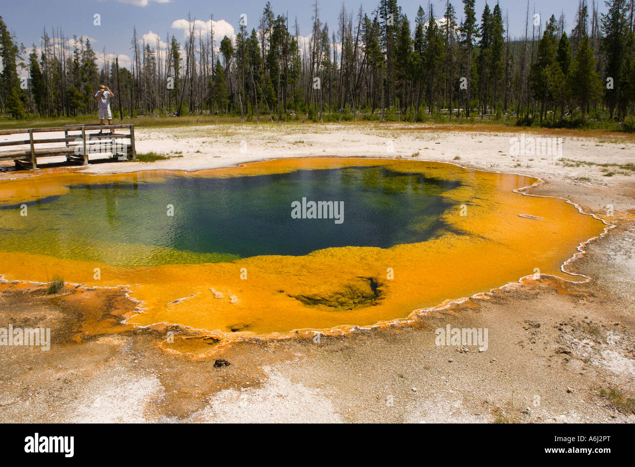 WYOMING USA Emerald Pool a colorful hot springs thermal pool at Black ...