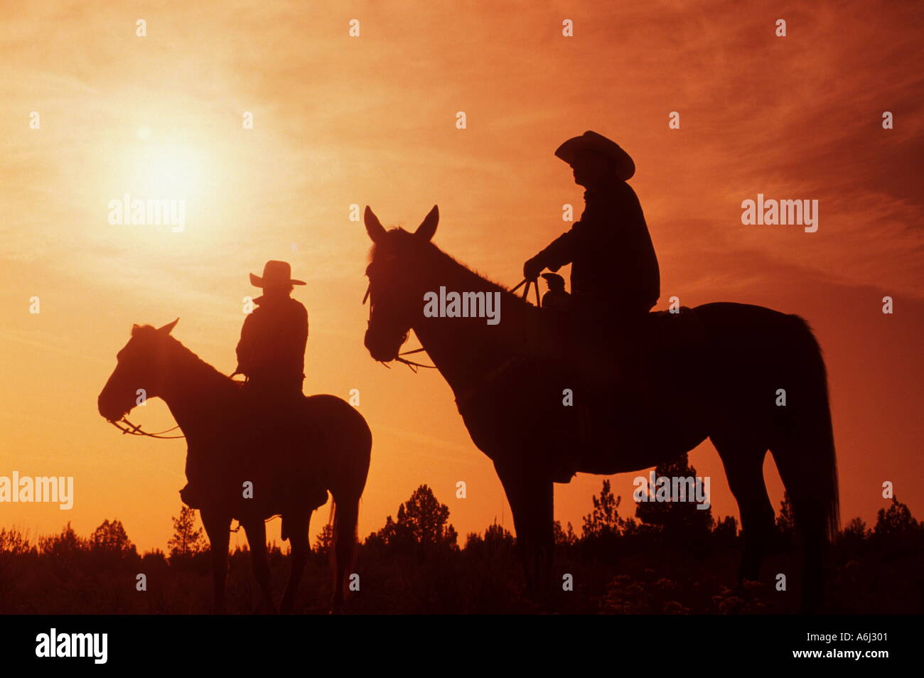 Cowboys at Sunset Stock Photo - Alamy