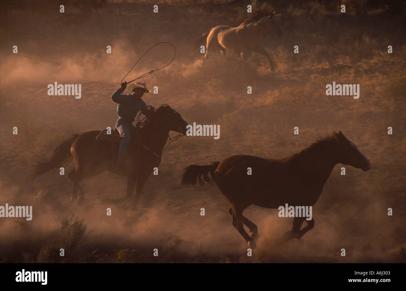 Roundup scene hi-res stock photography and images - Alamy