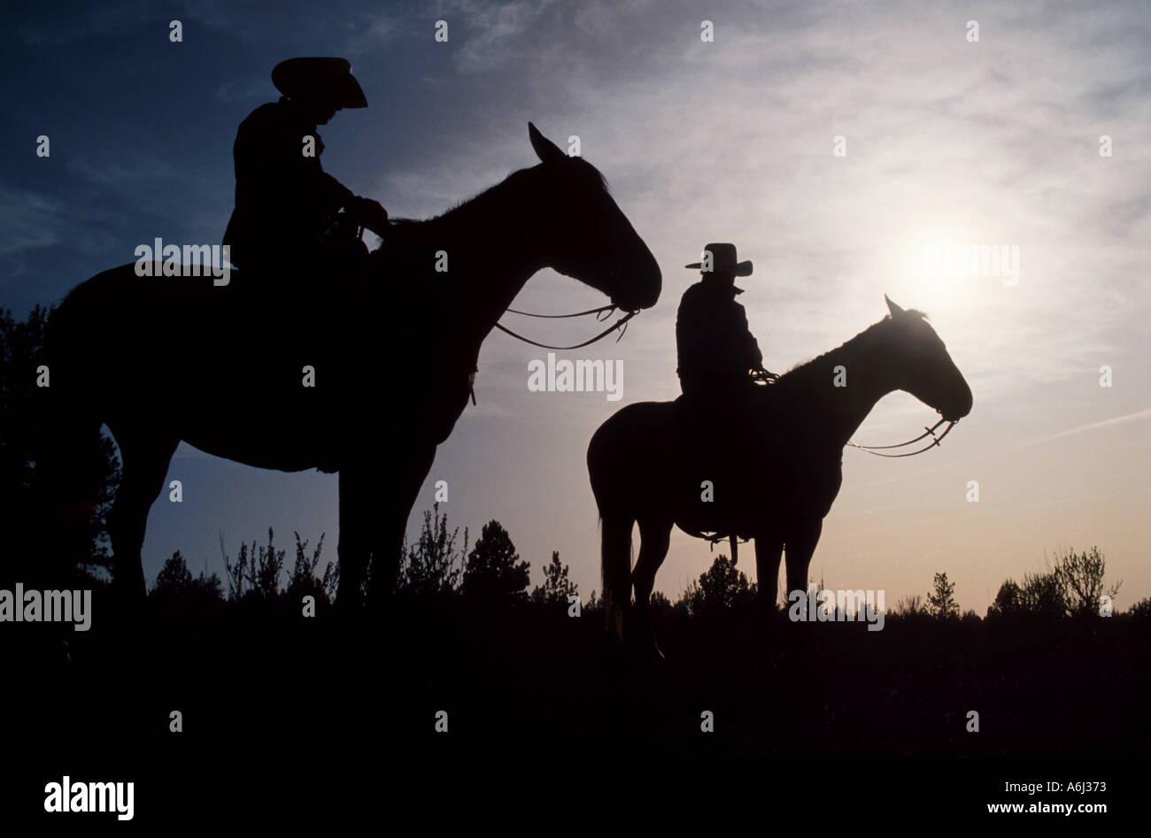 Cowboys at work evening hi-res stock photography and images - Alamy