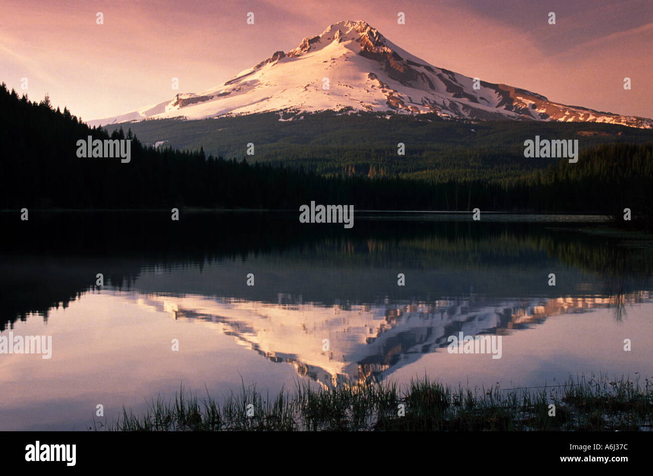 Mount Hood Oregon Stock Photo - Alamy