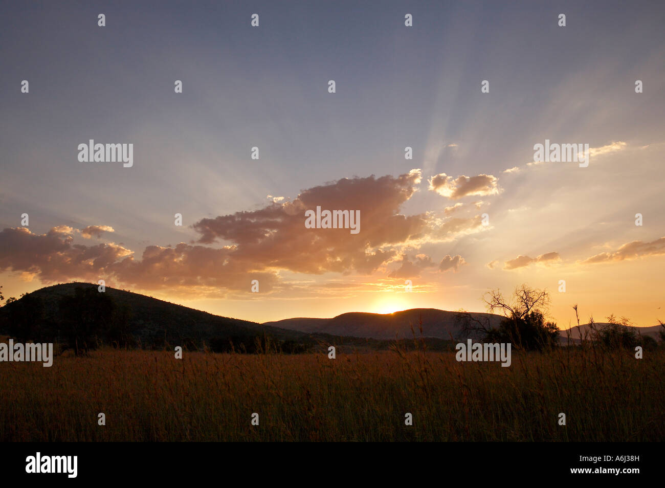 Light rays of the setting sun hi-res stock photography and images - Alamy