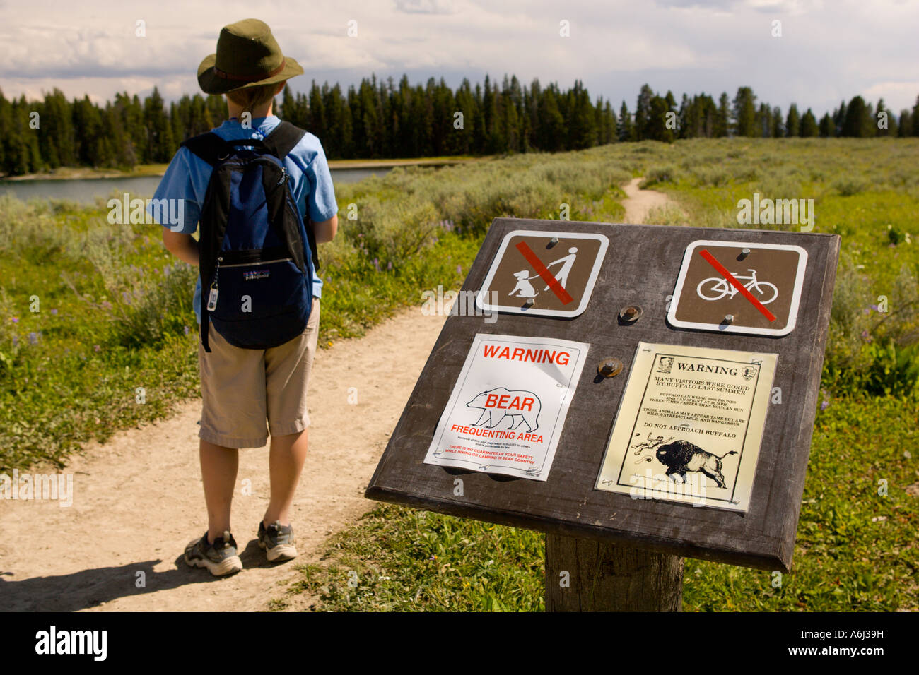 WYOMING USA Young hiker and warning sign for bear and bison in ...