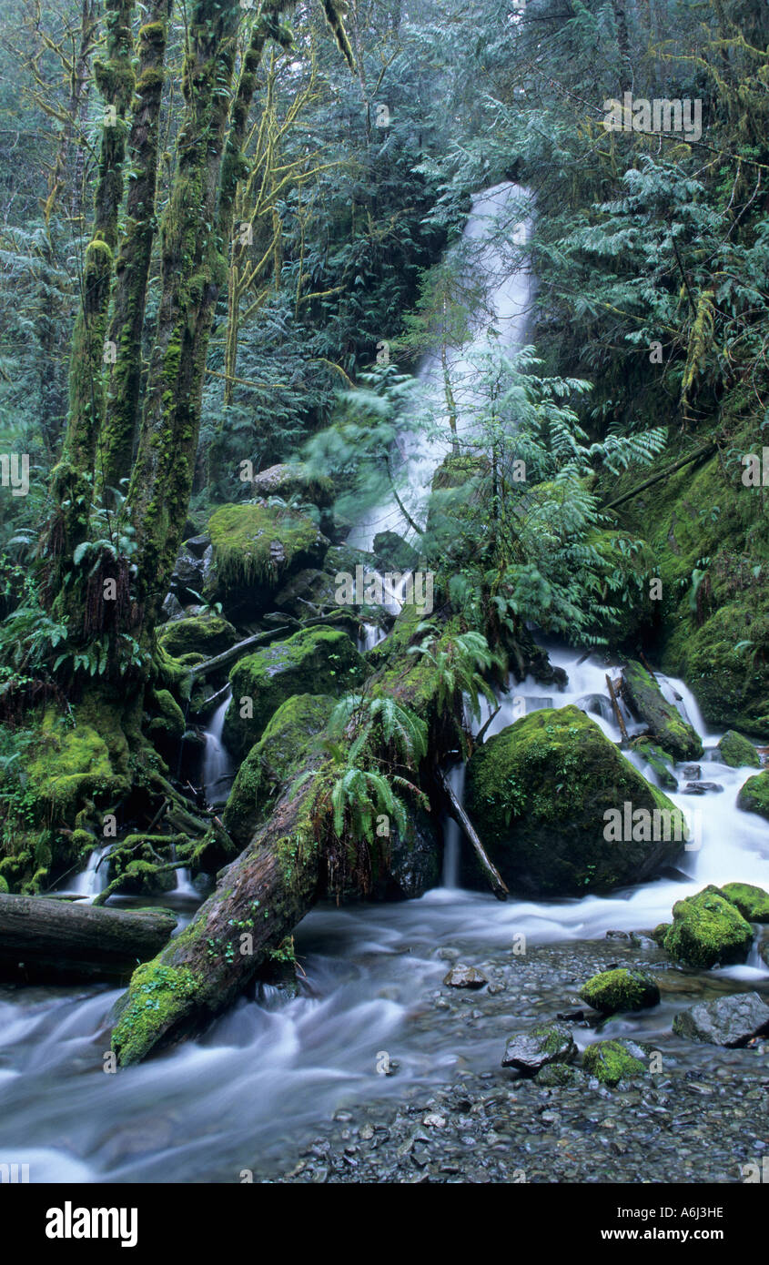 Waterfall on Olympic Peninsula, Washington State, USA Stock Photo - Alamy