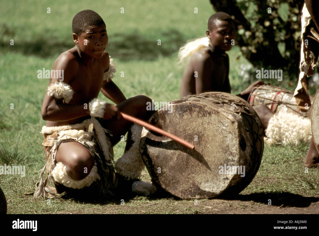 South Africa Hluhluwe Ubizane Wildlife Stock Photo - Alamy