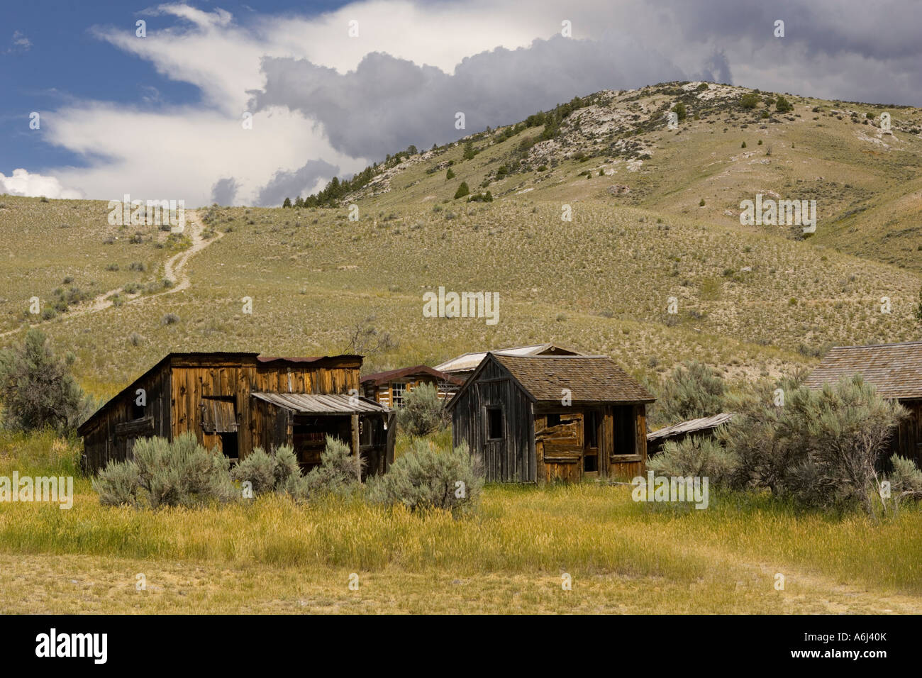 BANNACK MONTANA USA Ghost town in old gold mining settlement Bannack ...