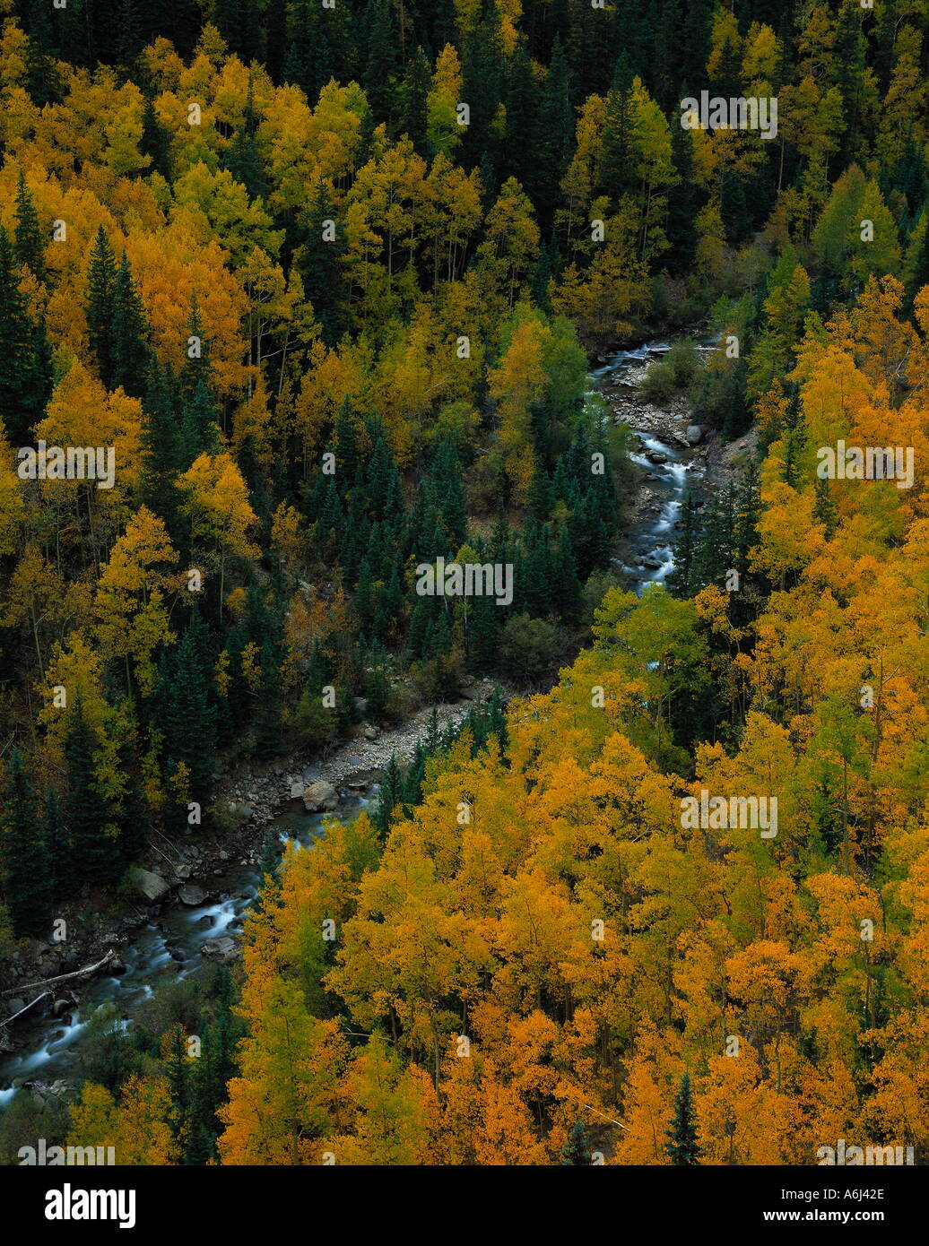 Gunnison river colorado autumn hi-res stock photography and images - Alamy