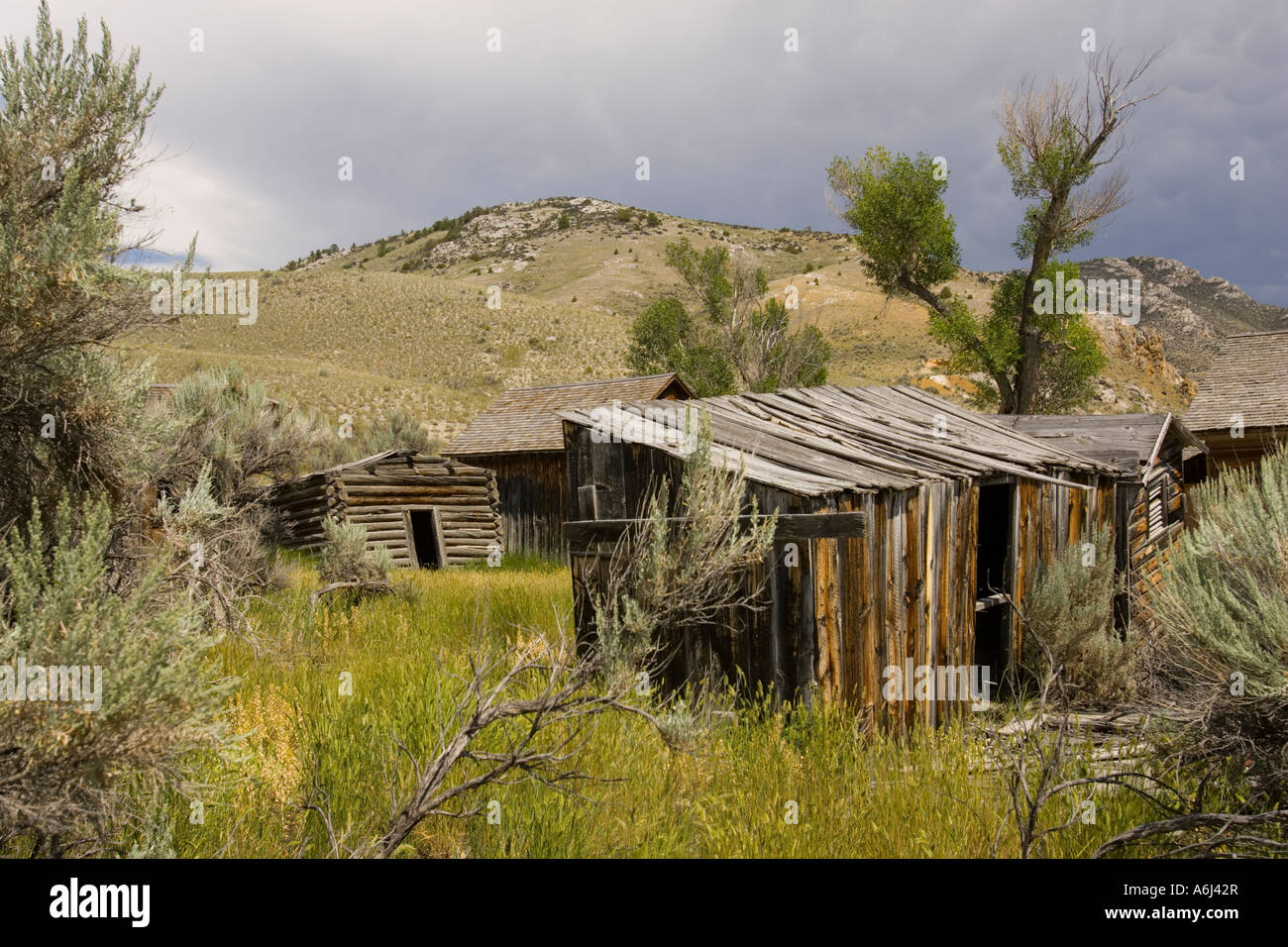 BANNACK MONTANA USA Ghost town in old gold mining settlement Bannack ...