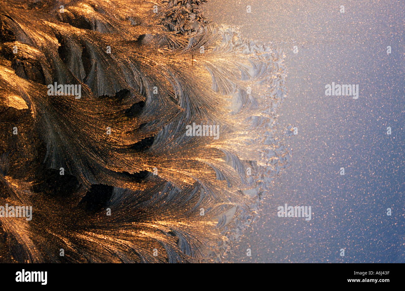 Frost feathering hi-res stock photography and images - Alamy