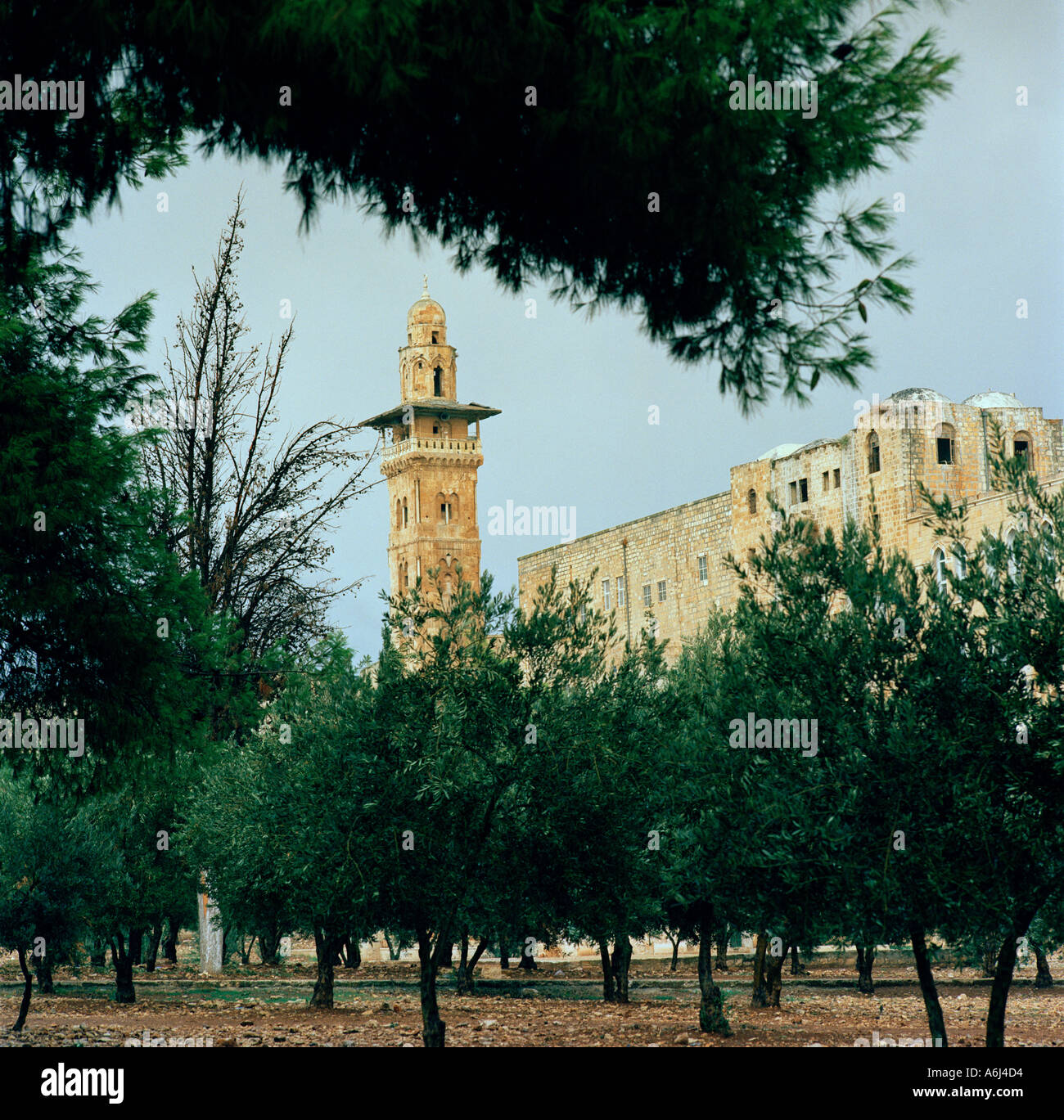 Antonia tower hi-res stock photography and images - Alamy