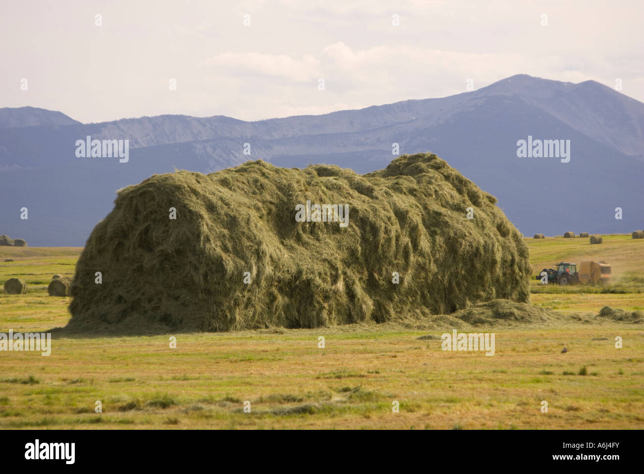 Mound of hay hi-res stock photography and images - Alamy