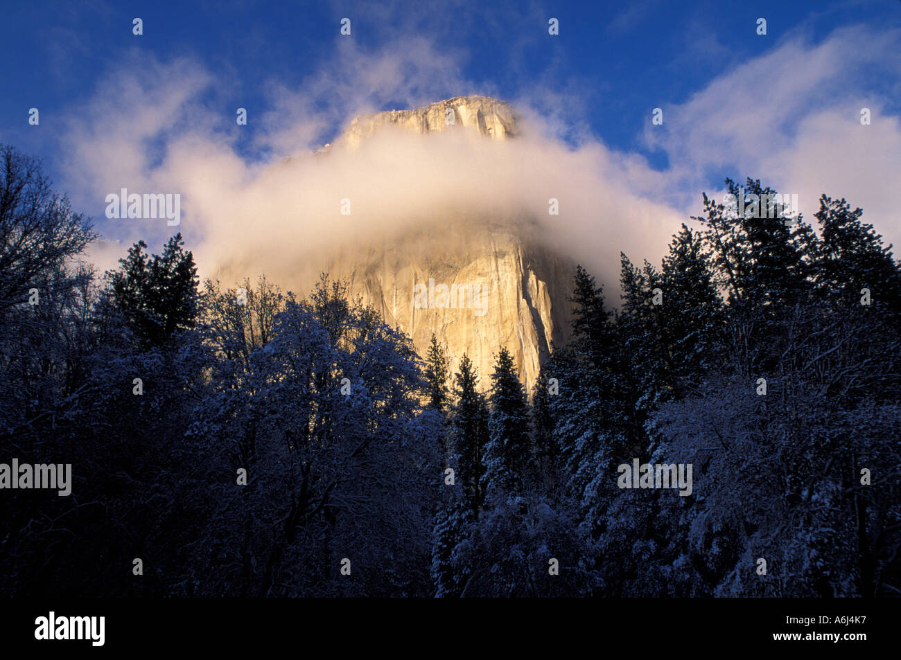 Yosemite Valley Yosemite National Park California United States of ...