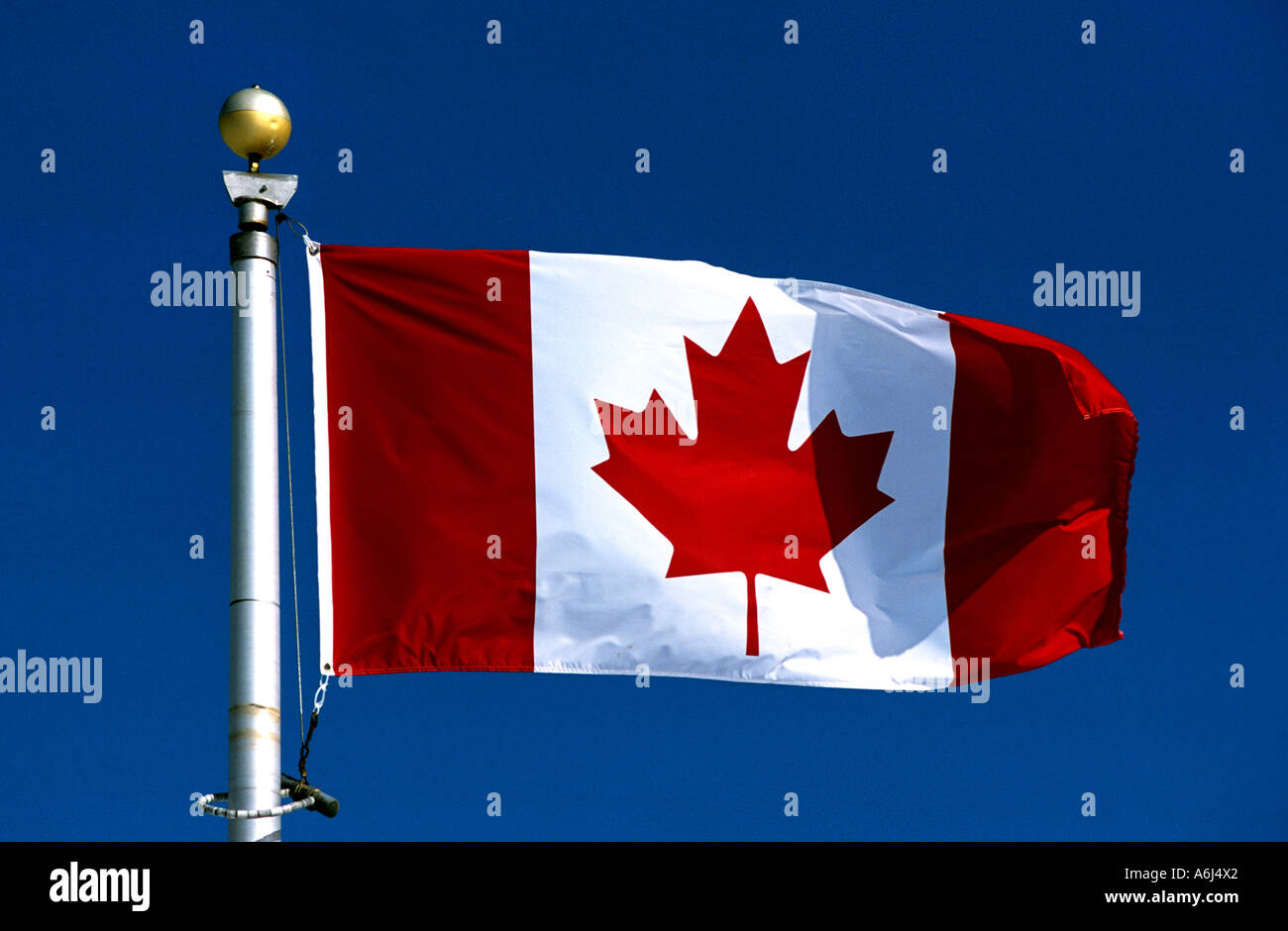 Canada Quebec Canadian Flag Stock Photo - Alamy