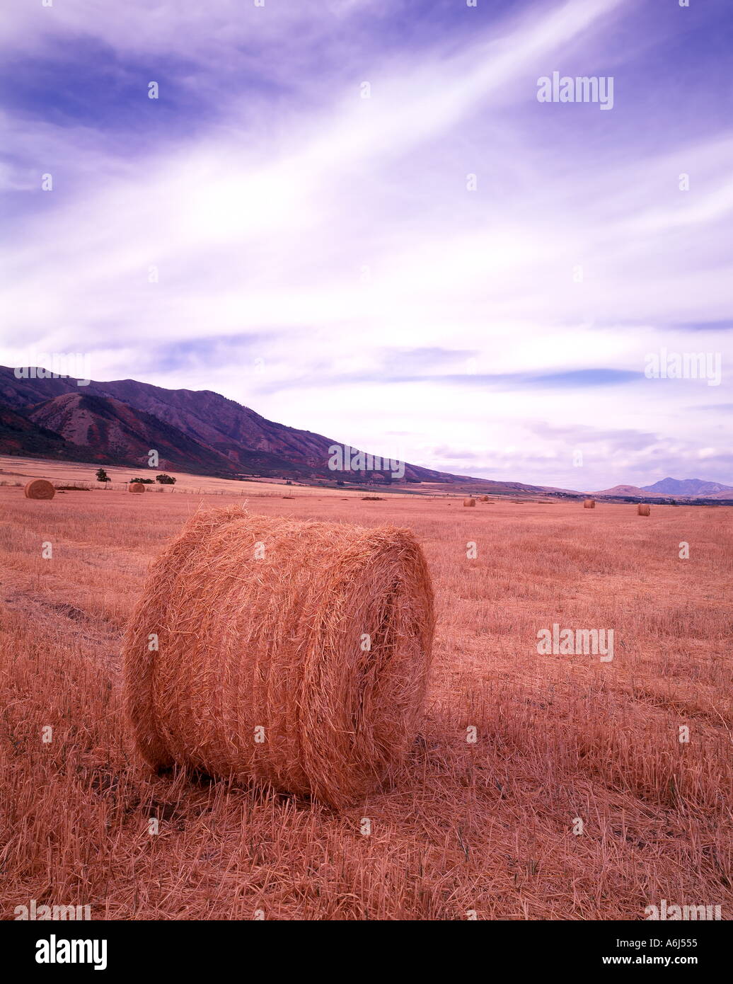 Cache valley farming hi-res stock photography and images - Alamy