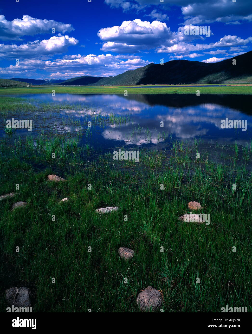 Fishlake national forest utah hi-res stock photography and images - Alamy