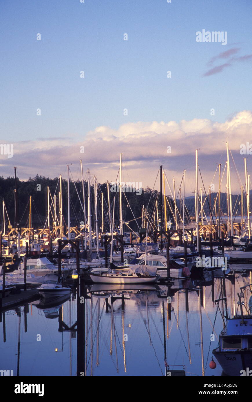 Sailboats Docked in a Bay Stock Photo - Alamy