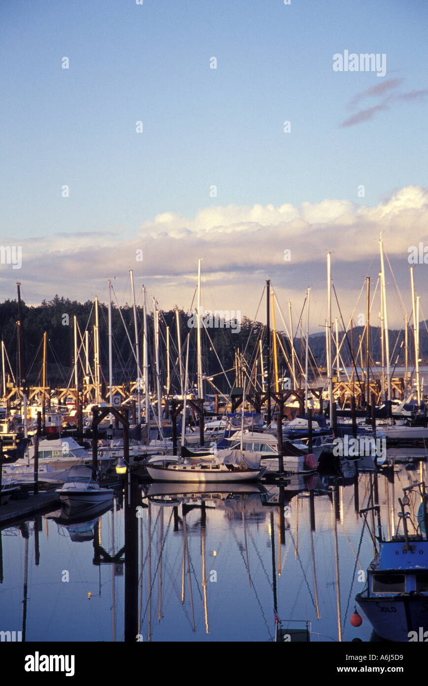 Sailboats Docked in a Bay Stock Photo - Alamy
