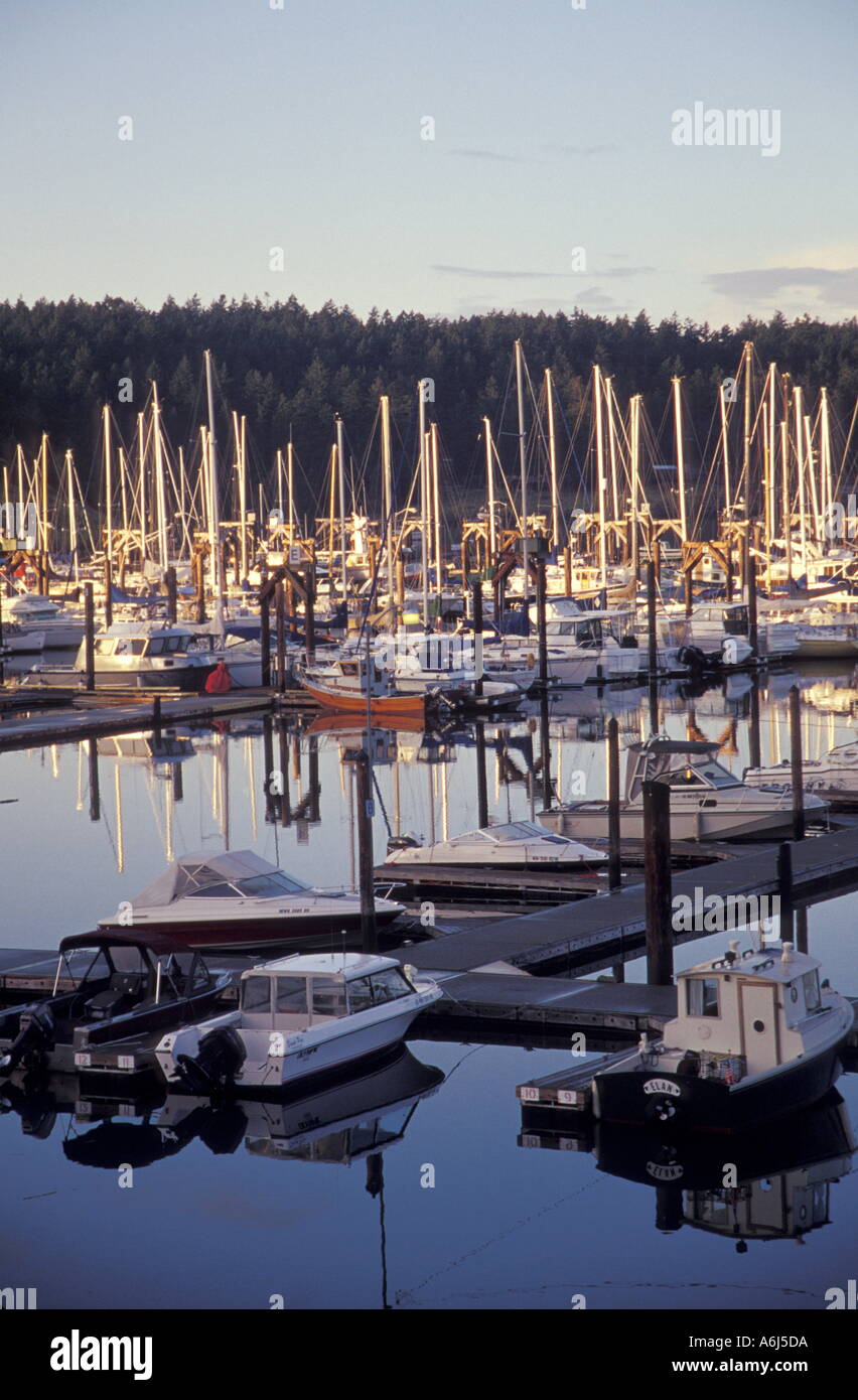 Sailboats Docked in a Bay Stock Photo - Alamy