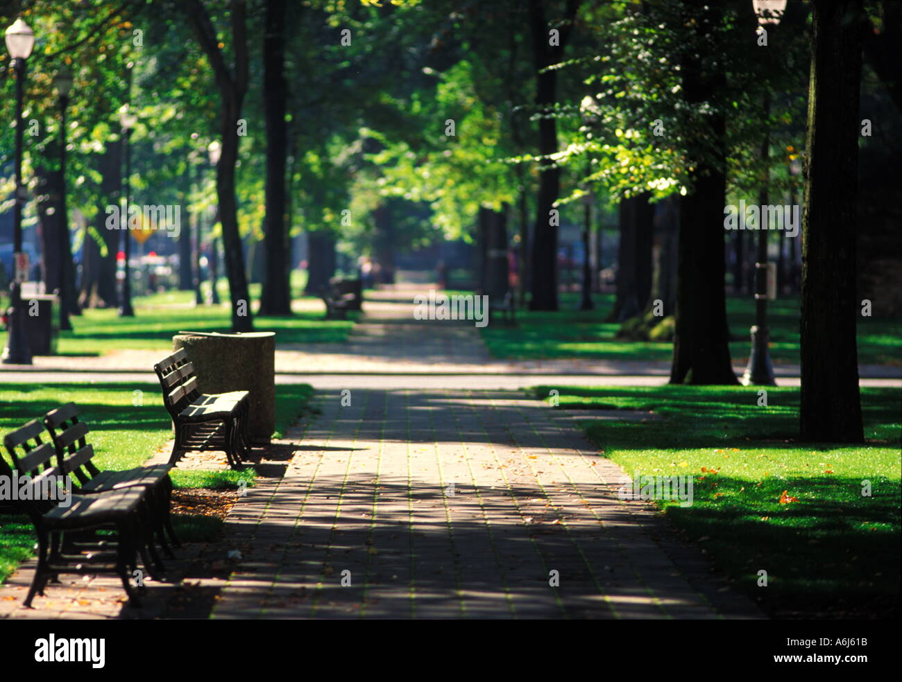 Portland park blocks hi-res stock photography and images - Alamy