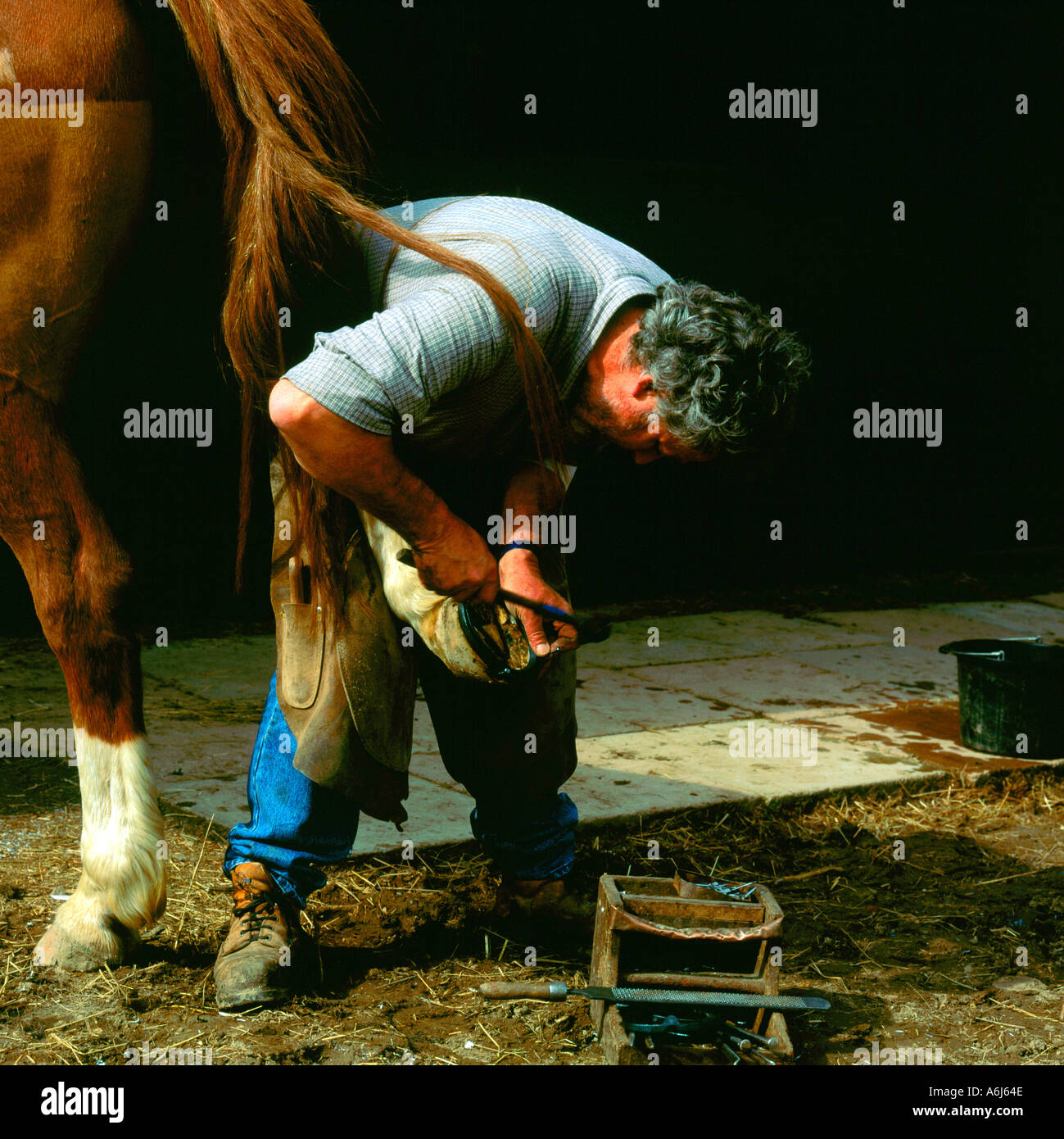 Mobile farrier hi-res stock photography and images - Alamy