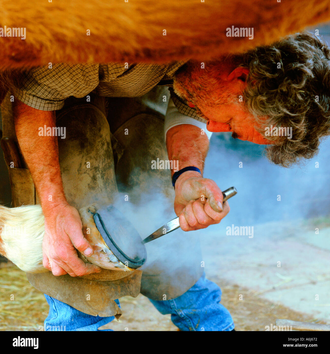 Mobile farrier hi-res stock photography and images - Alamy