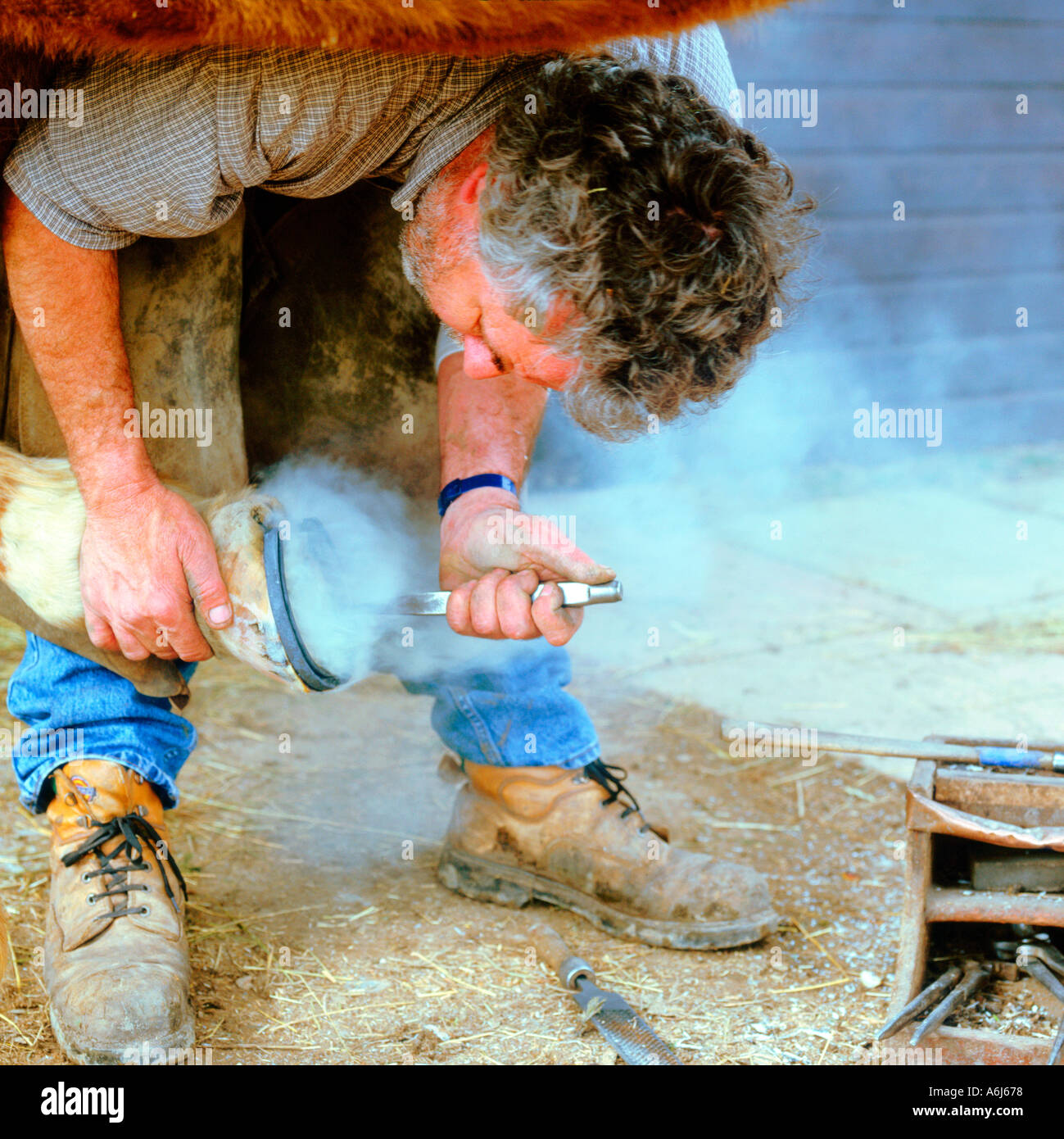 Mobile farrier hi-res stock photography and images - Alamy