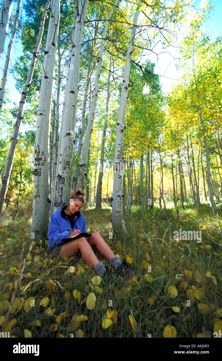 Reading grove hi-res stock photography and images - Alamy