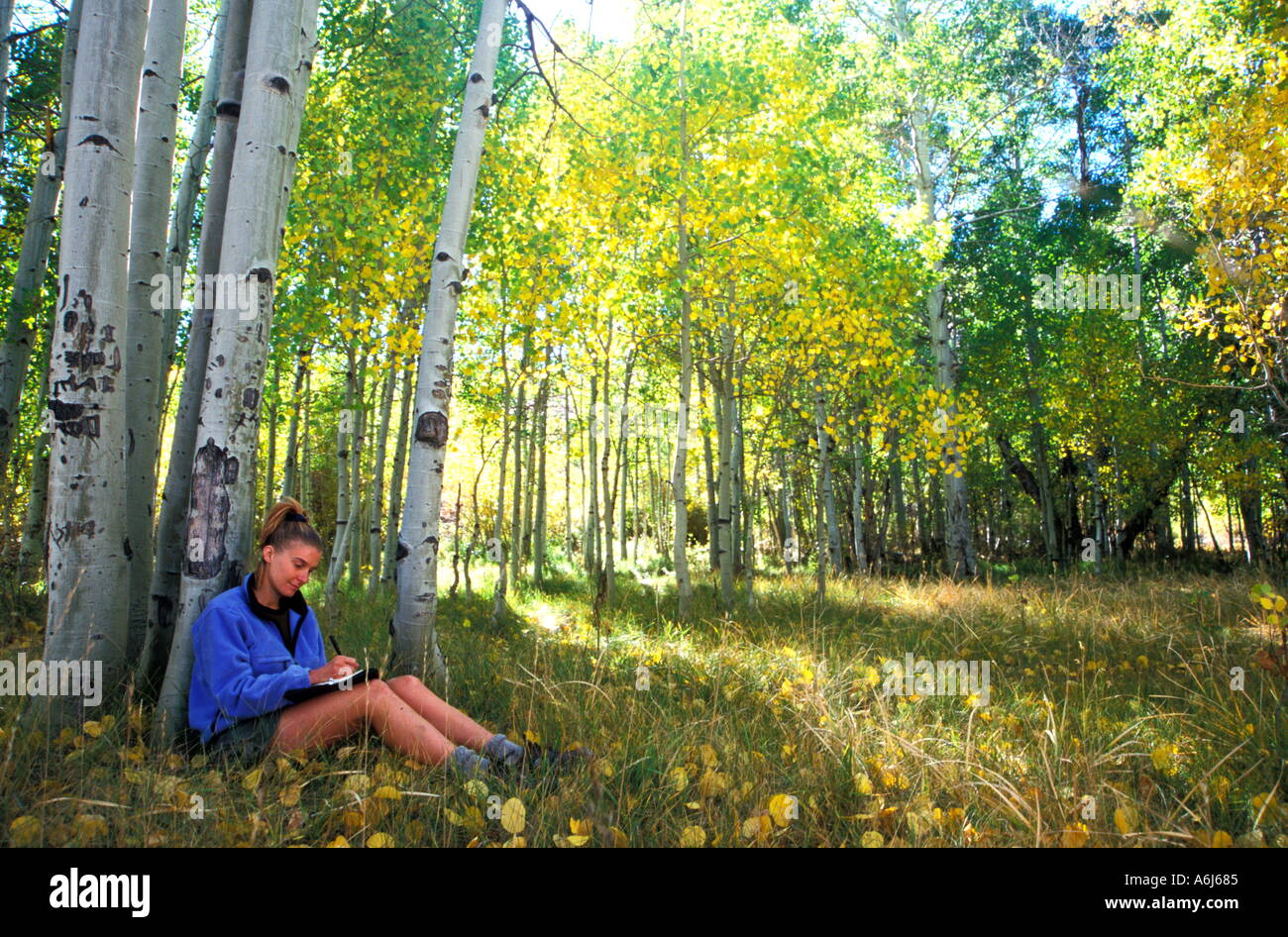 Reading Grove High Resolution Stock Photography and Images - Alamy