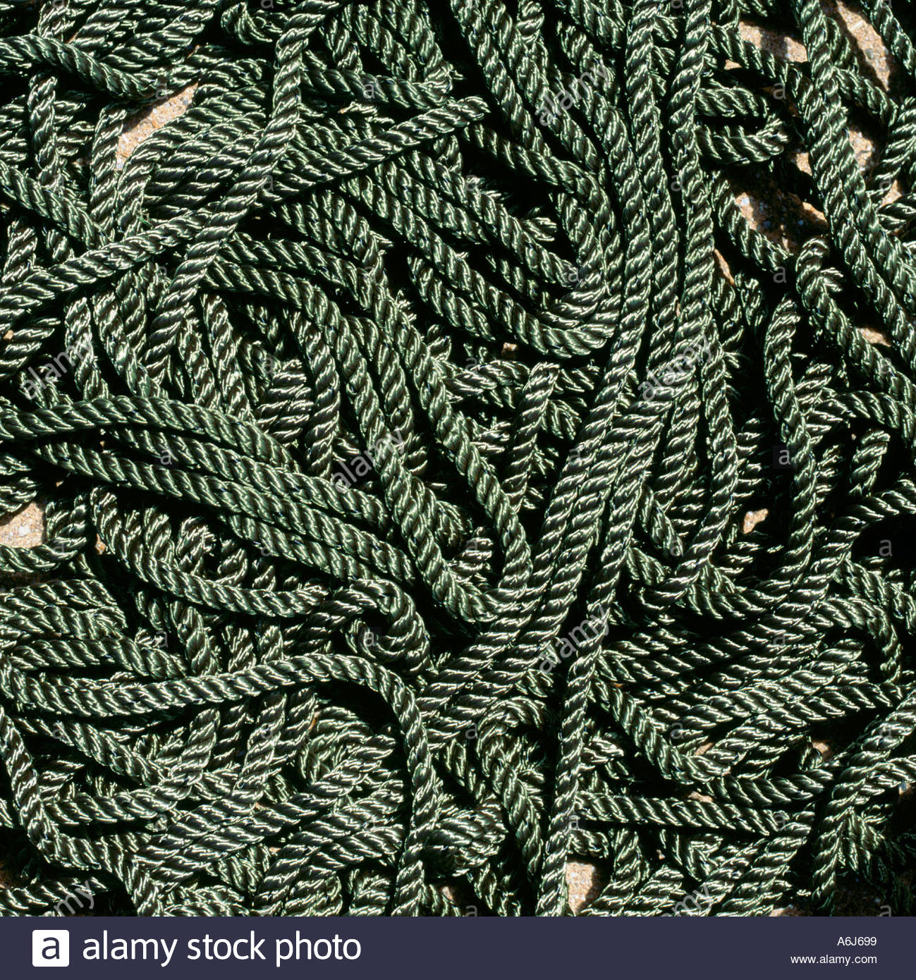 Abstract study of green rope Stock Photo - Alamy