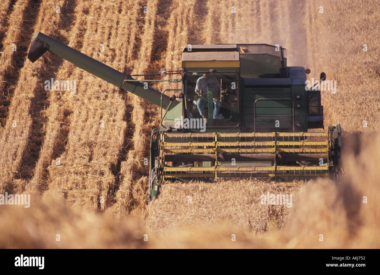 Threshing machine to which hi-res stock photography and images - Alamy
