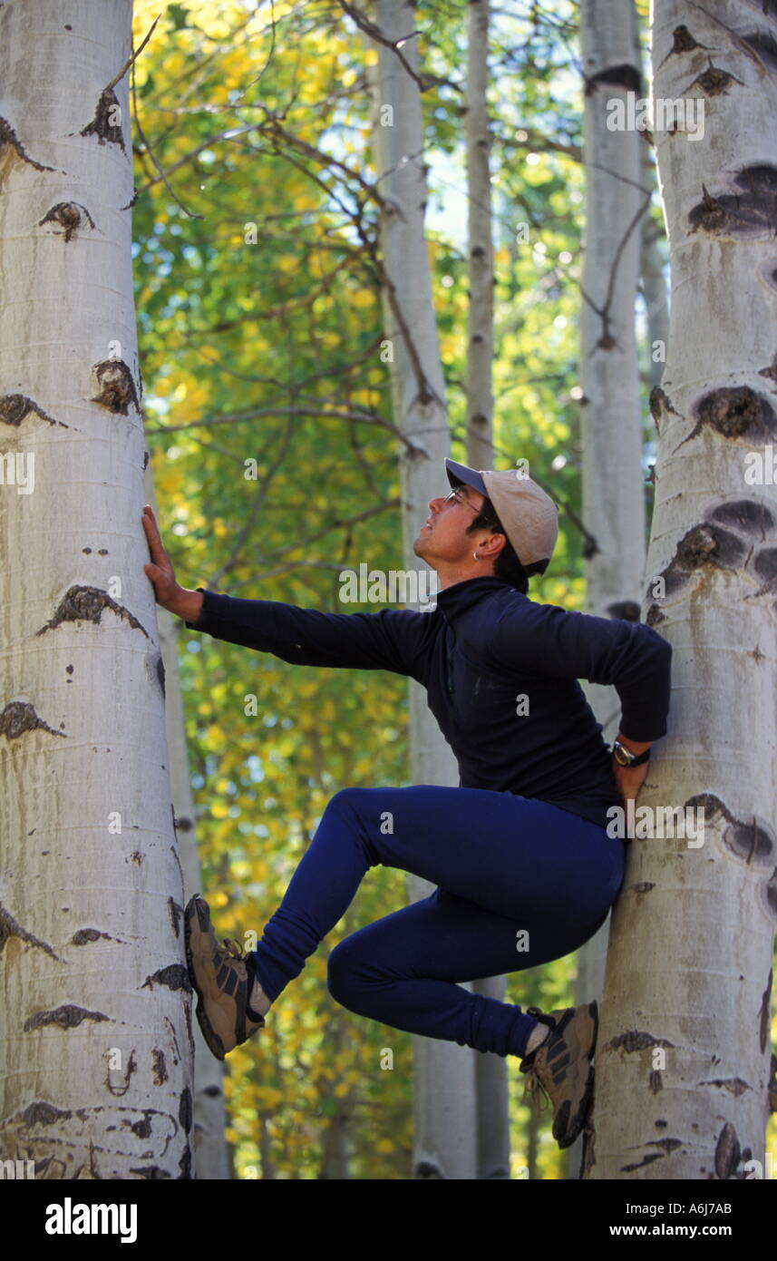 Man Climbing Wedged Between Two Trees Stock Photo - Alamy