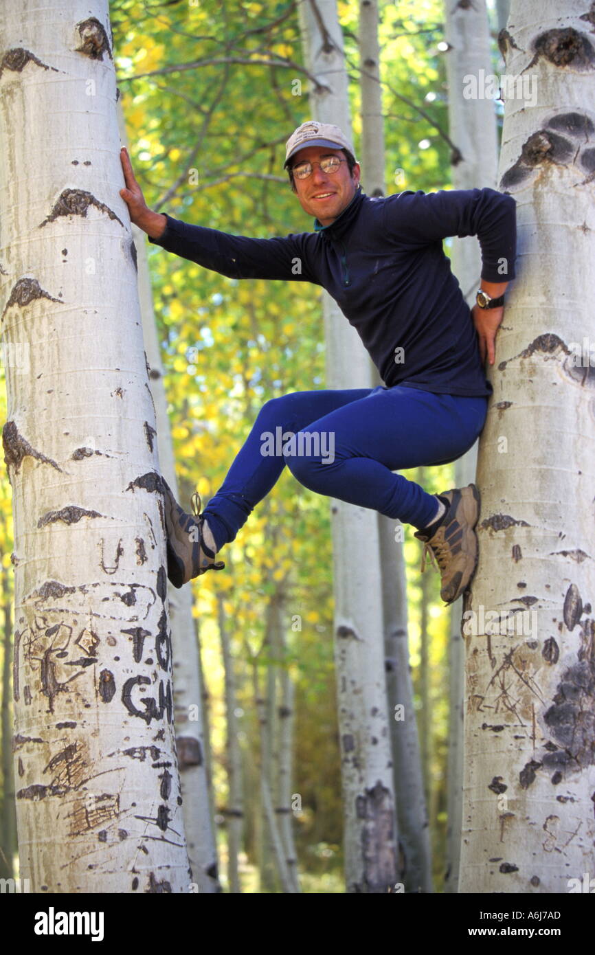 Man Posing Wedged Between Two Trees Stock Photo - Alamy