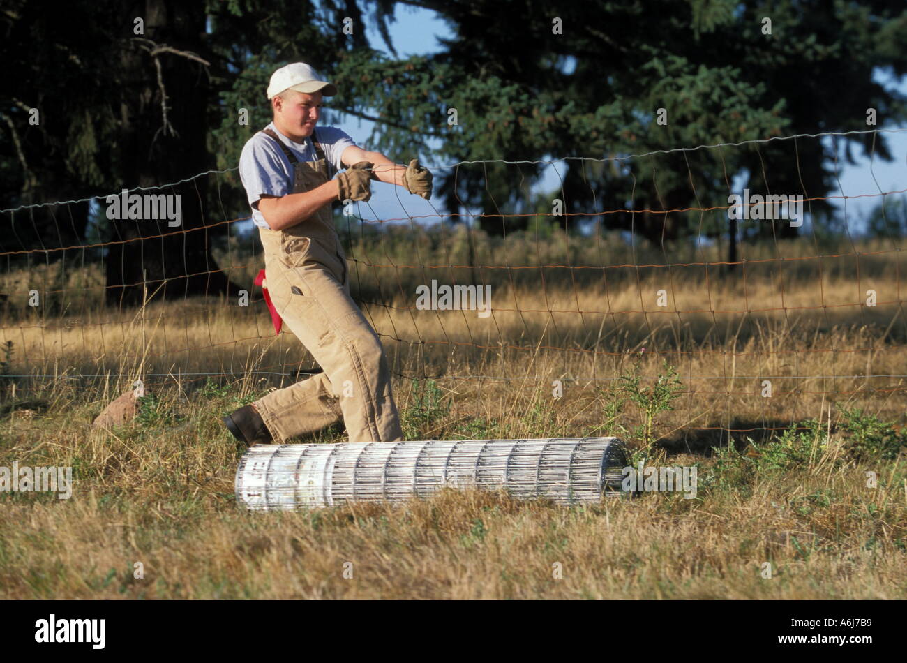 Young Man Laying Fence Stock Photo - Alamy