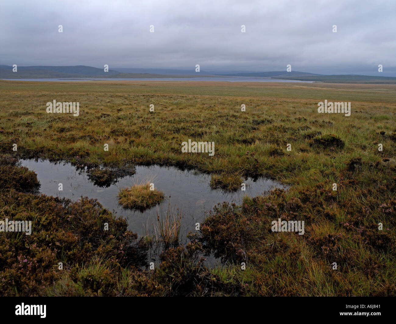 Caithness scotland isolation hi-res stock photography and images - Alamy