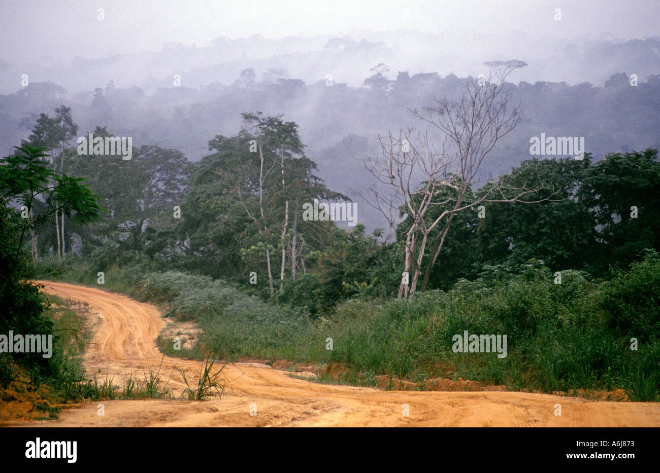 A dirt road through the equatorial rain forest region of Congo in ...