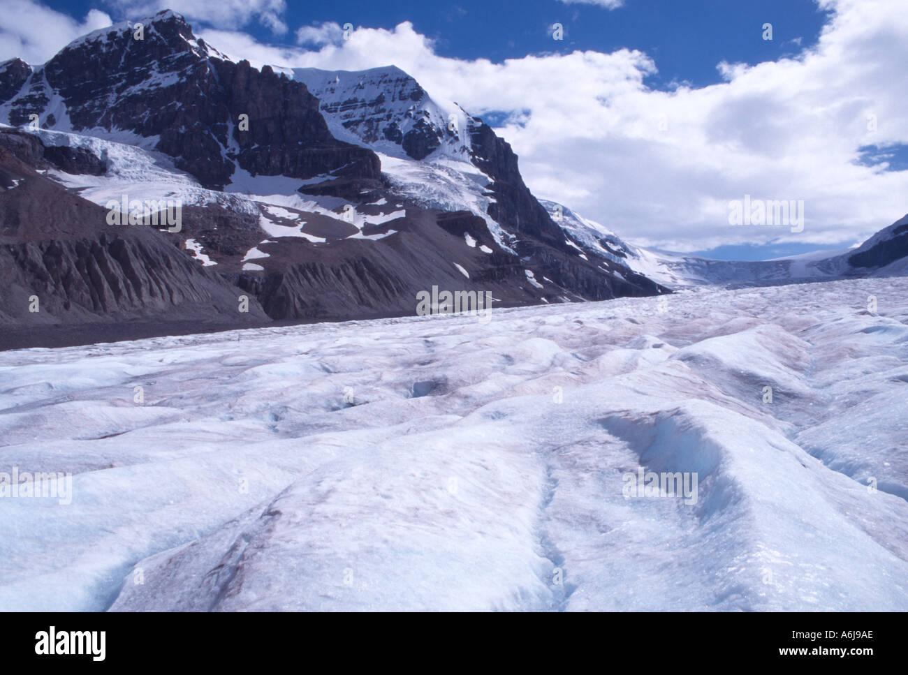 Athabaska Glacier Columbia Ice Field Jasper National Park Canadian ...