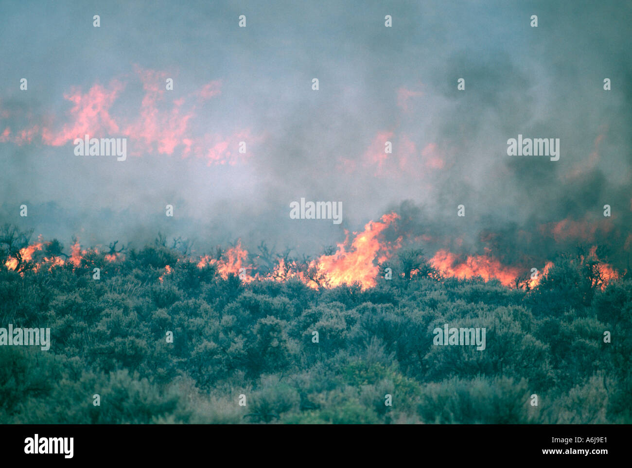 Sagebrush fire hi-res stock photography and images - Alamy