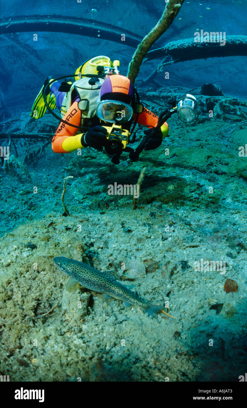 Scuba diver in clear mountain hi-res stock photography and images - Alamy