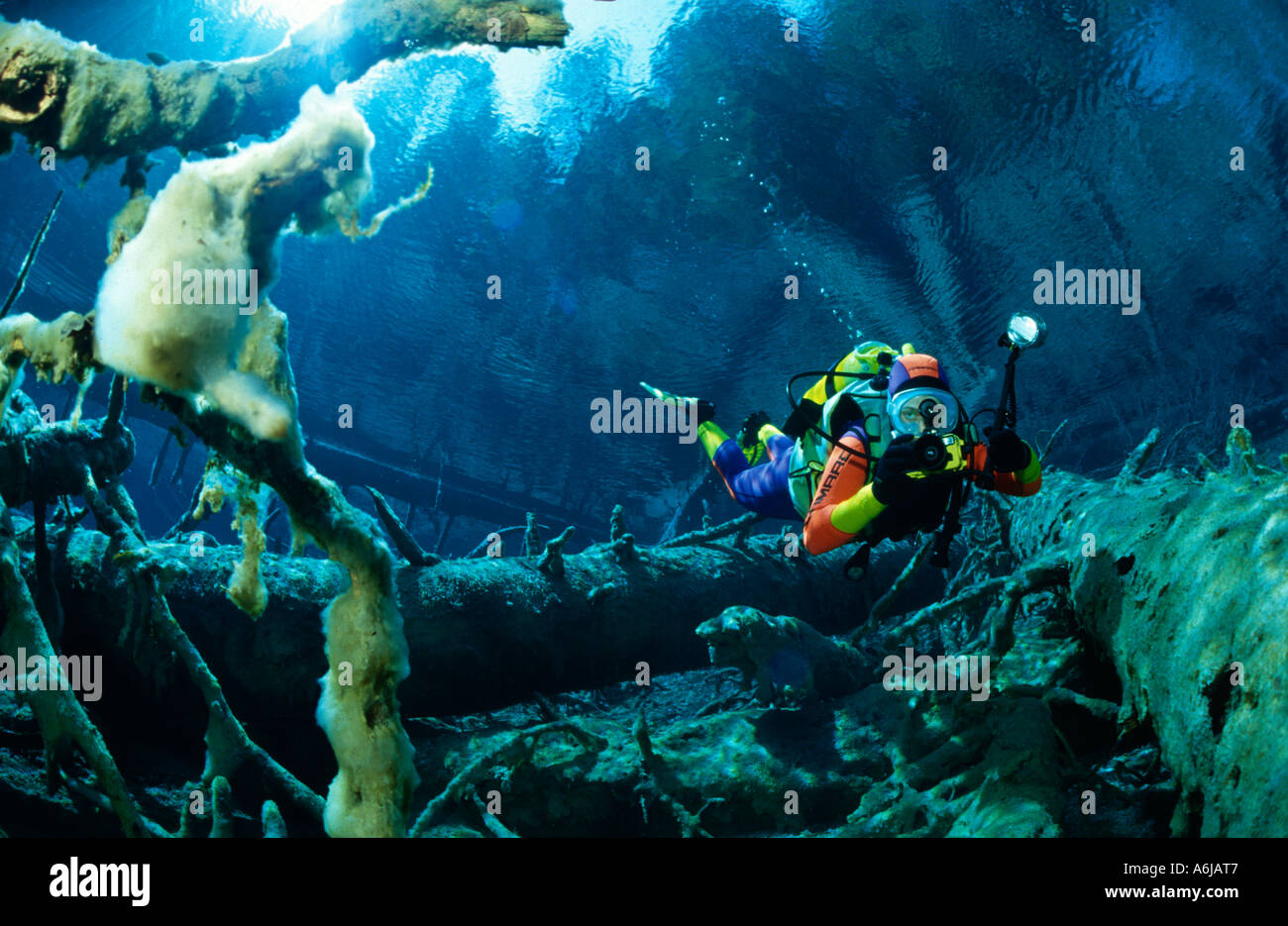 Scuba diving photographer underwater in a clear Mountain lake in ...