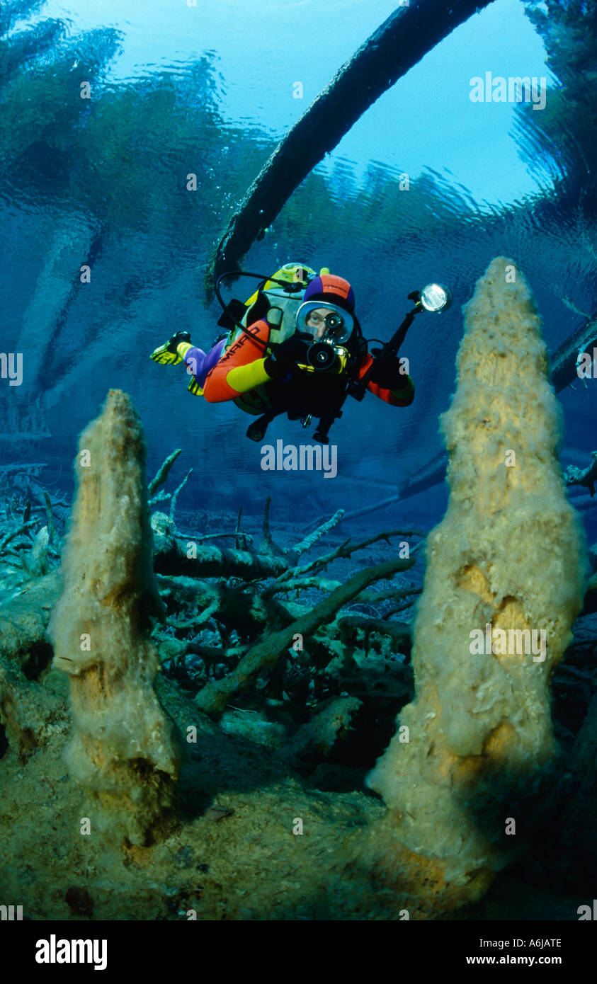 Diving photographer in a clear Mountain lake Stock Photo - Alamy