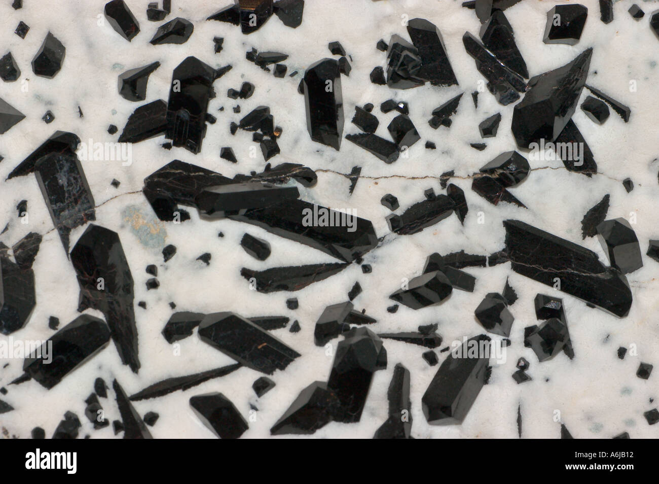 MINERAL Crystals of Neptunite embedded in white Natrolite Neptunite ...