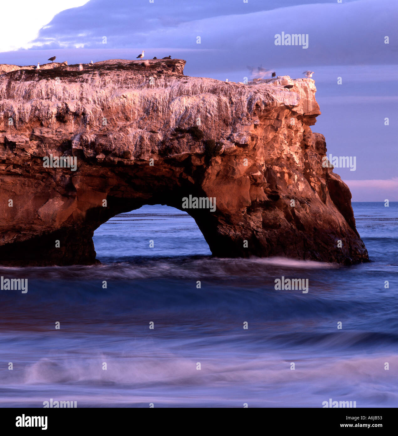 Natural Bridges State Park, California Coast Stock Photo - Alamy