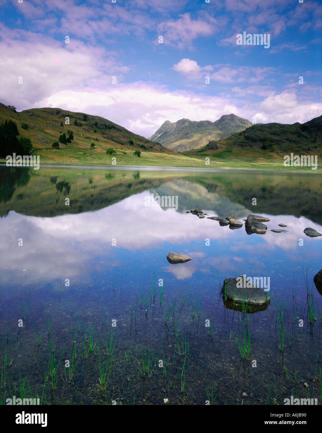 Blea Tarn Lake District Cumbria UK Stock Photo - Alamy