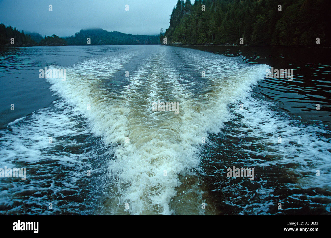 algal bloom, brown sea water, British Clombia, Canada, Pacific Stock ...