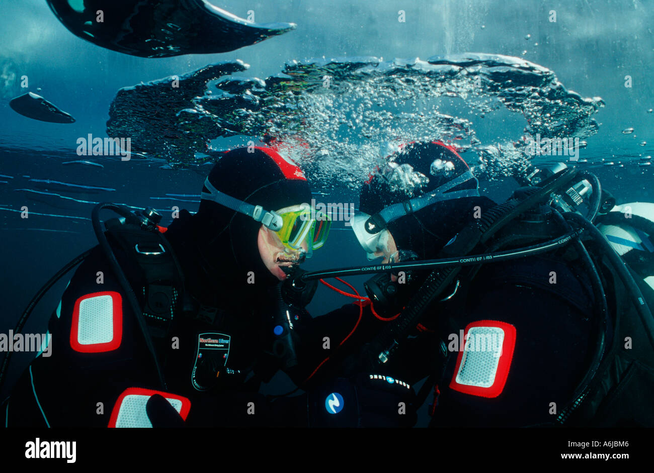 ice diver under the ice helping each other Stock Photo - Alamy