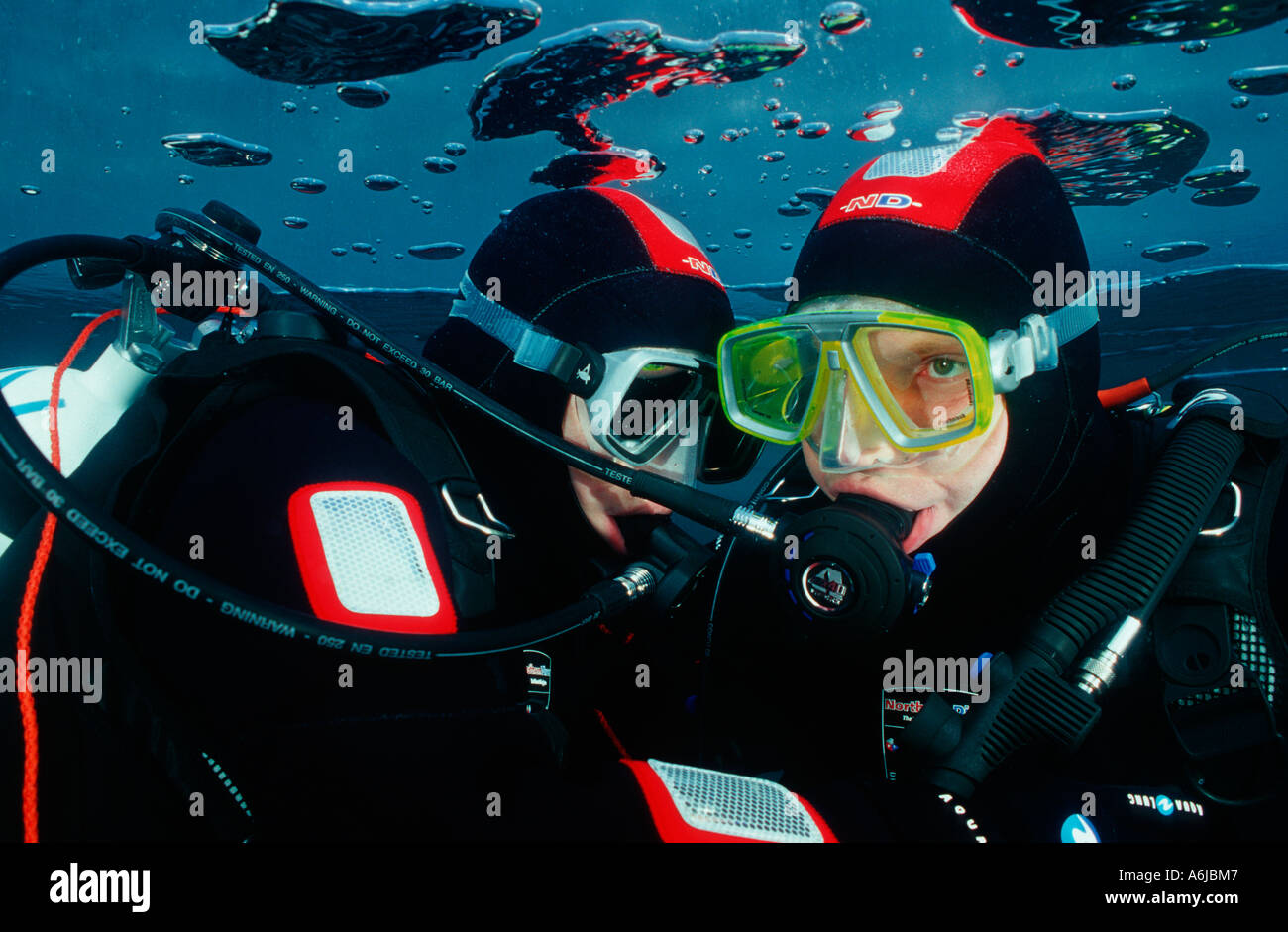 ice diver under the ice helping each other Stock Photo - Alamy